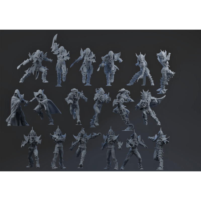 Dark elves - Brutefun Elfes noirs Equipe complète